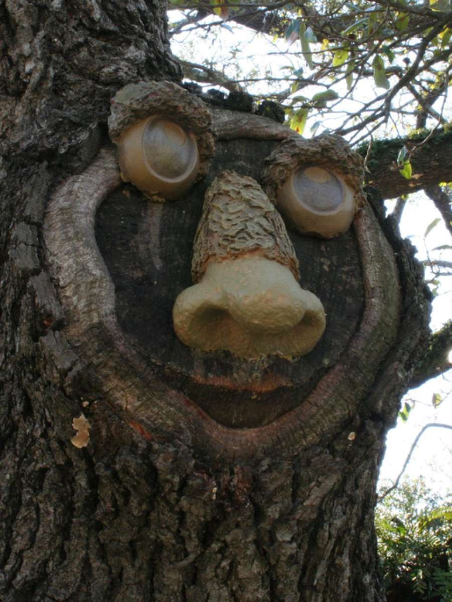 10+ Halloween Tree Face Ideas (DIY & Store-Bought) | The Holidays and ...