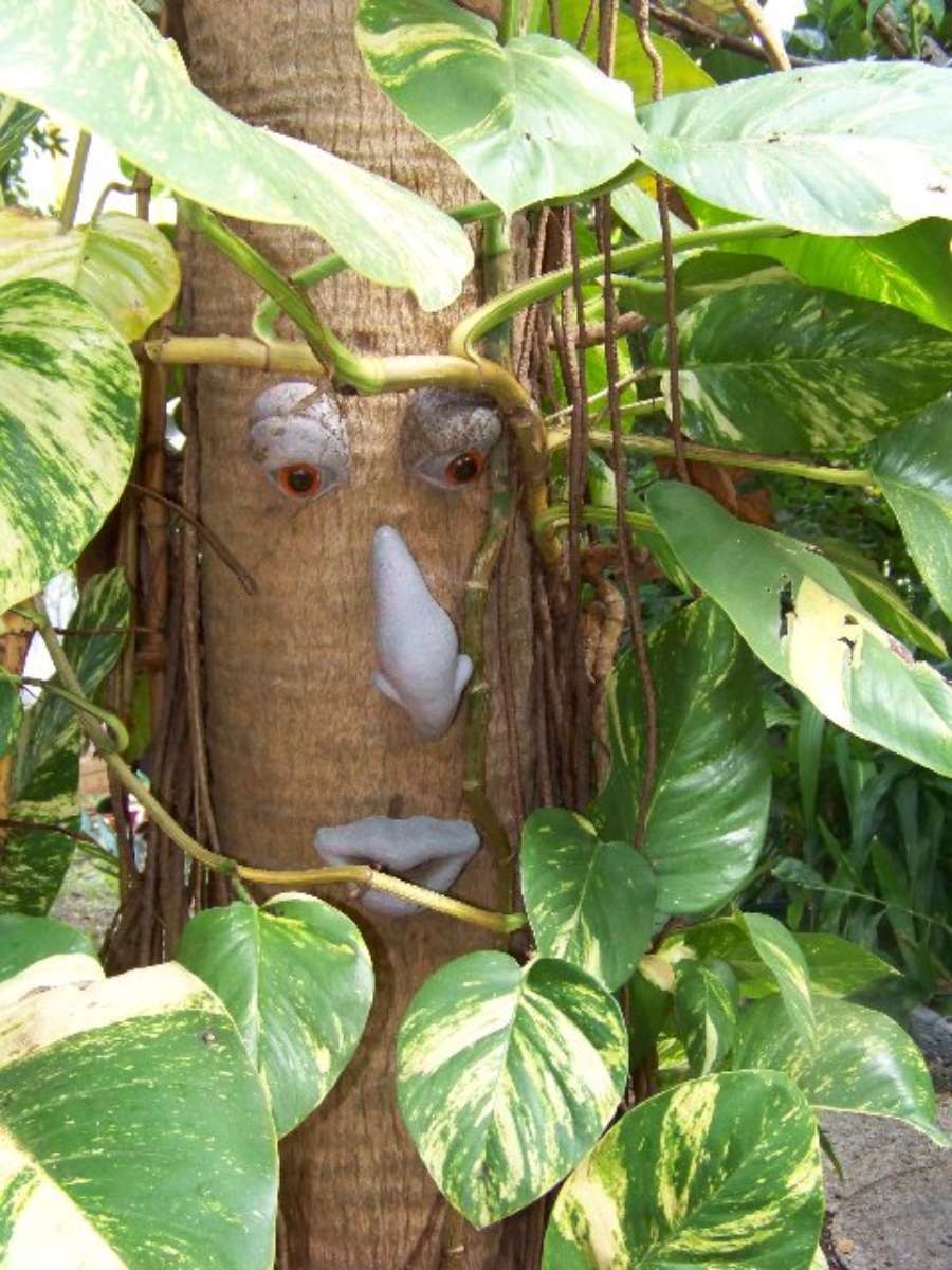 10+ Halloween Tree Face Ideas (DIY & Store-Bought) | The Holidays and ...